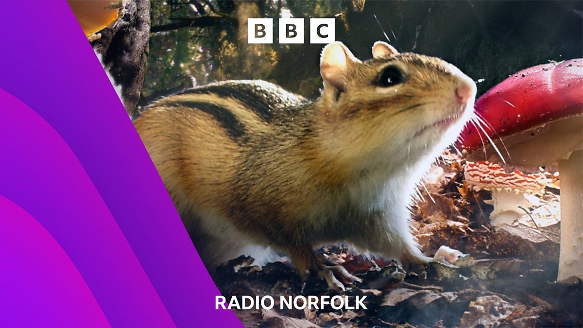 BBC Radio Norfolk - Chris Goreham, Rob Butler sits in (17/02/2023 ...