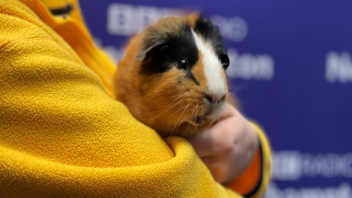 BBC Radio Northampton - Bernie Keith, Instagram sensations Archie ...