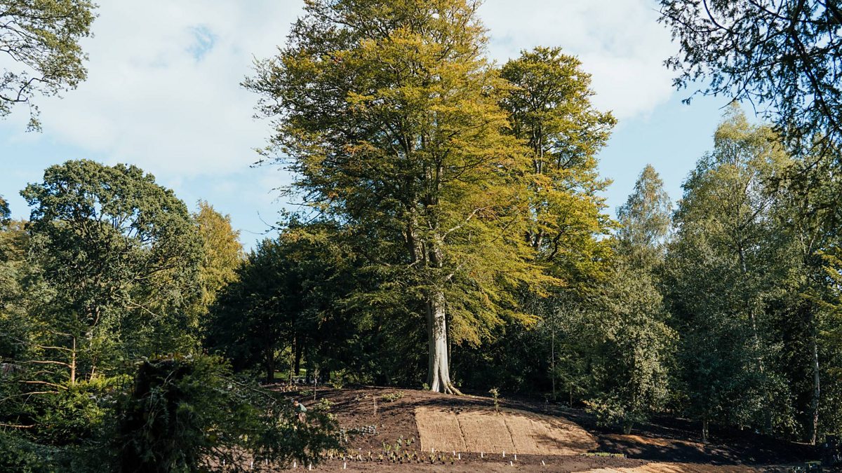BBC Radio Sheffield - The Grow Show, Discovering "Arcadia" at Chatsworth