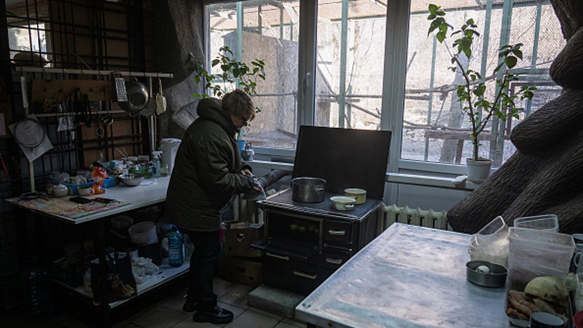 BBC World Service - World Business Report, Ukraine: The struggle for energy