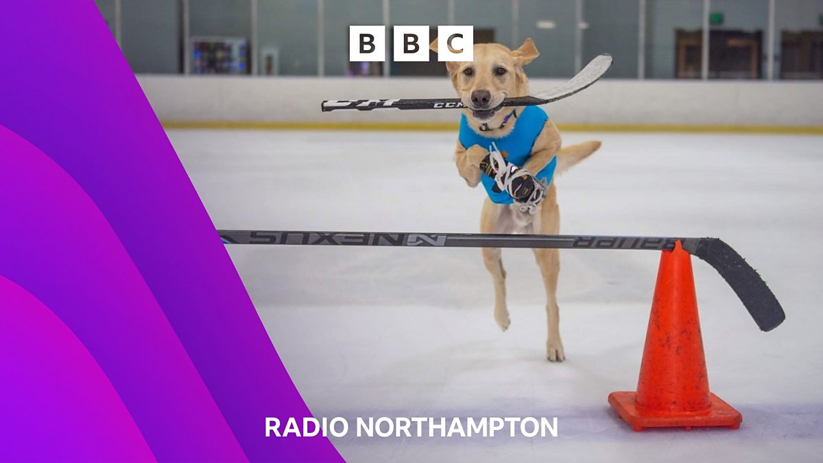 BBC Radio Northampton - BBC Radio Northampton, Benny the ice skating ...