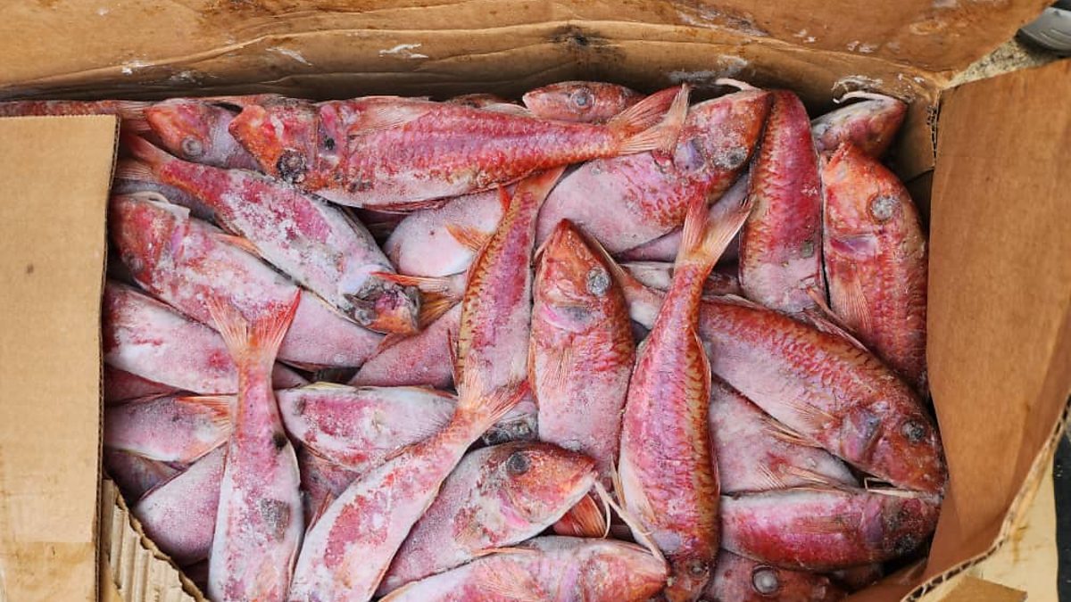 BBC World Service - Newsday, Ghana fishing: Country pledges electronic ...