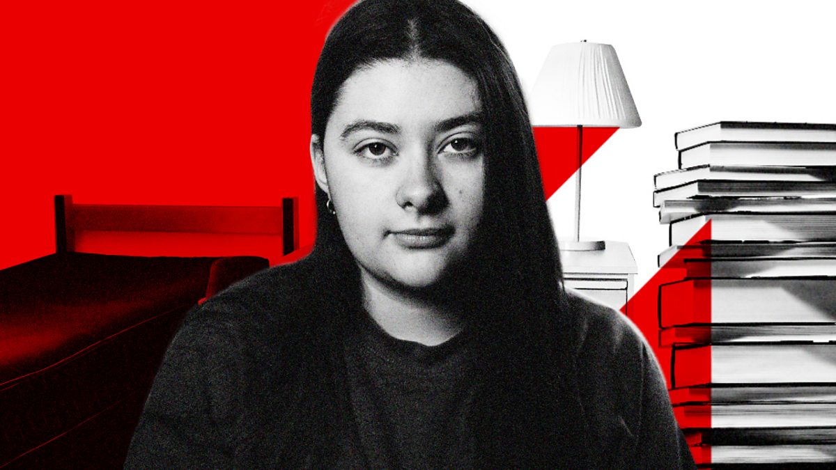 BBC News - The Cost of Learning