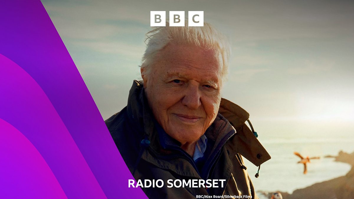 BBC Radio Somerset - BBC Radio Somerset, Somerset stars in new ...