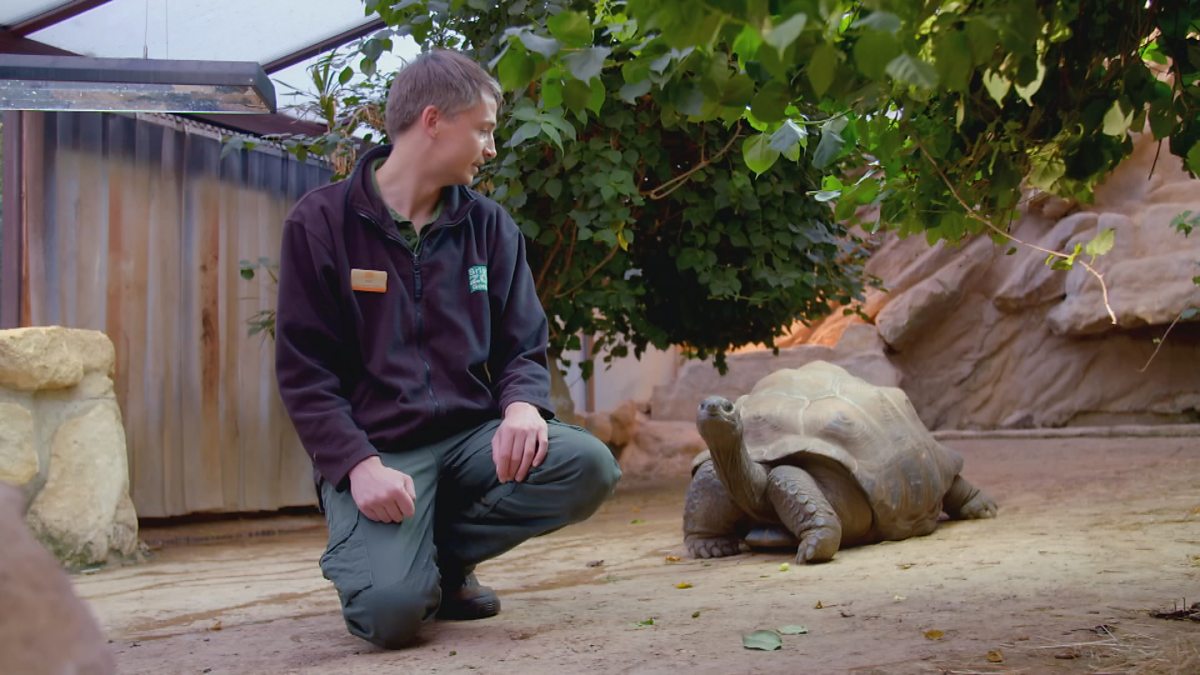 BBC One - The One Show, Goodbye Bristol Zoo