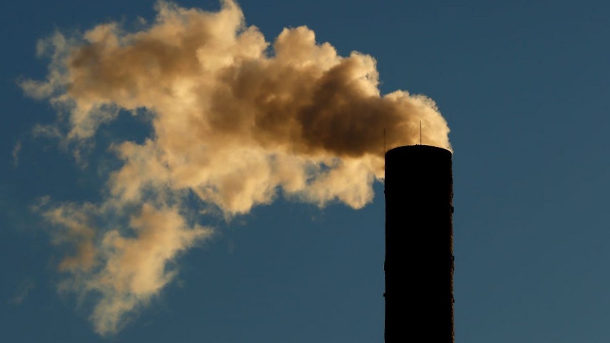 BBC World Service - Newshour, Climate change: New method to suck carbon ...