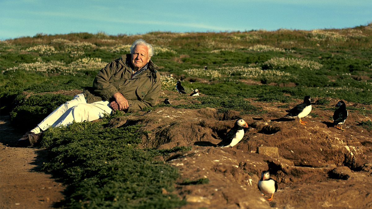 BBC One - Wild Isles - Behind the scenes on Wild Isles