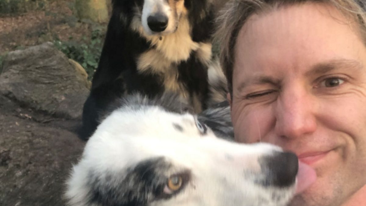 BBC Radio 5 Live - 5 Live In Short, ‘My two dogs come with me on every ...