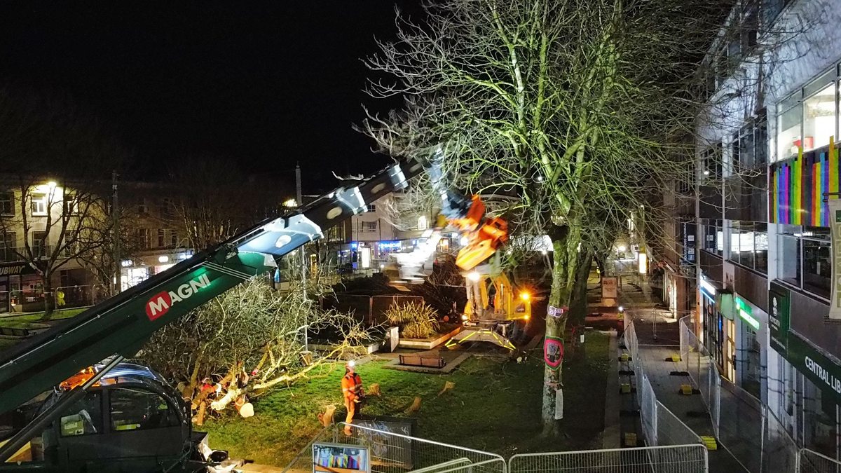 BBC Radio Devon - John Acres, 'Save The Trees of Armada Way' react to ...