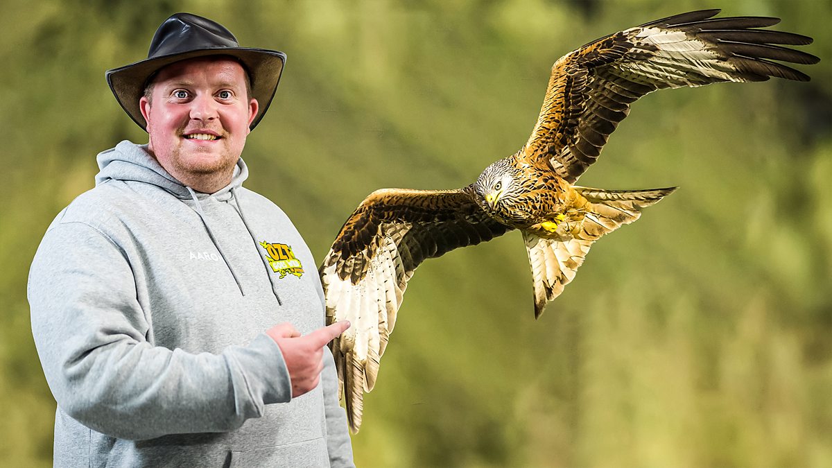 One Zoo Three - OZT Goes Wild in Britain: 3. Grasslands - BBC iPlayer