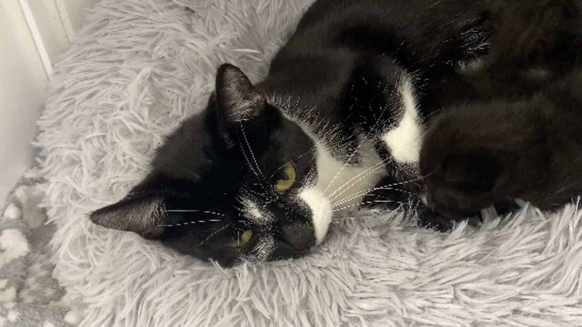 BBC Radio Manchester - Becky Want, Joe McGrath sits in (27/03/2023 ...