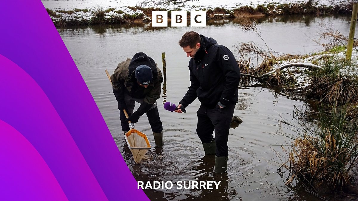 BBC Radio Surrey - BBC Radio Surrey, Springtime river dipping at ...