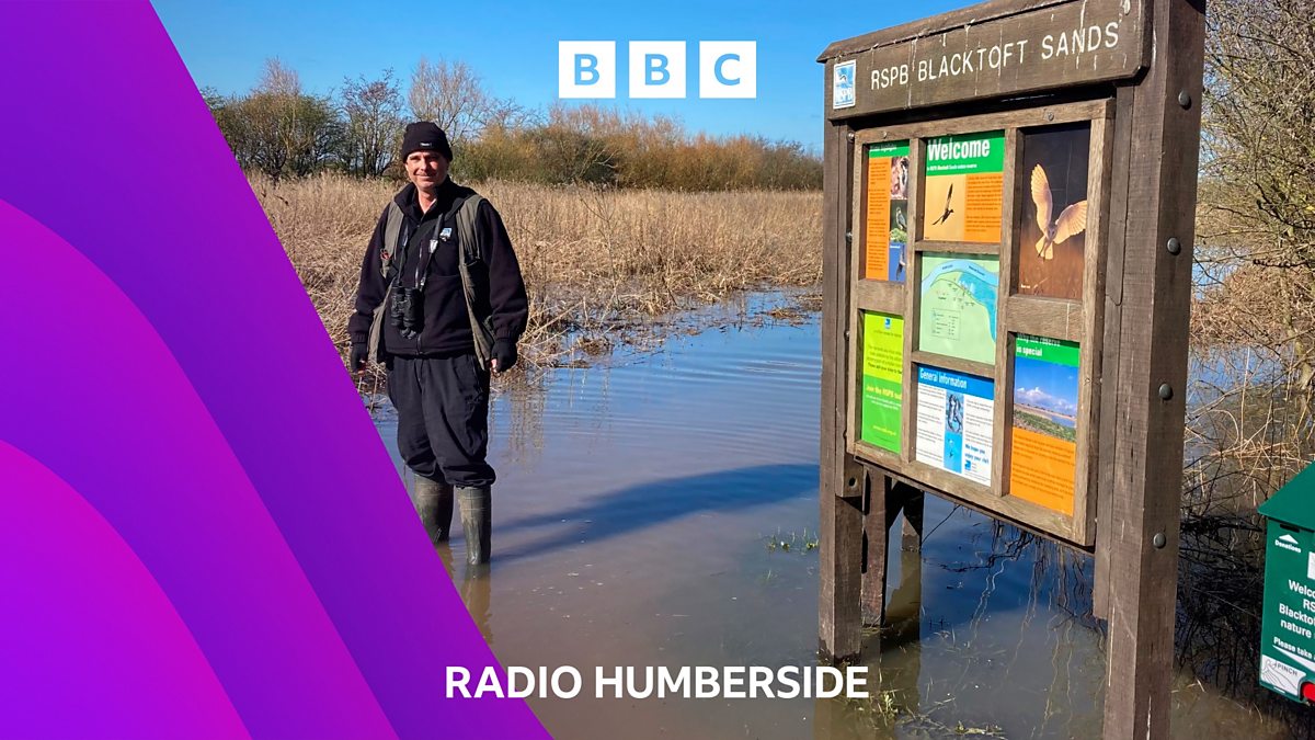 BBC Radio Humberside - BBC Radio Humberside, Wild Isles inspiration for ...