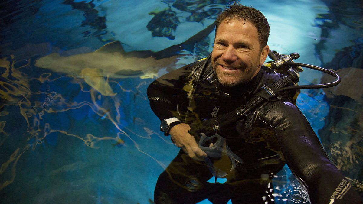 BBC Radio Tees - Scott Makin, Naturalist Steve Backshall is coming to ...