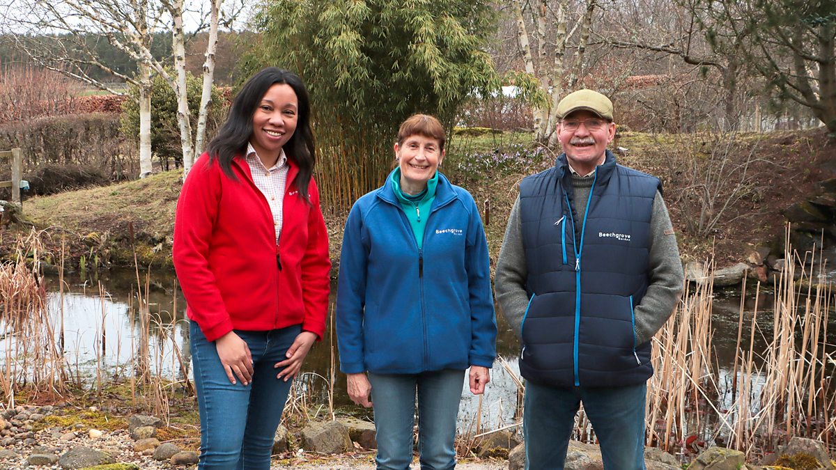 Beechgrove Garden - 2023: Episode 1 - BBC iPlayer