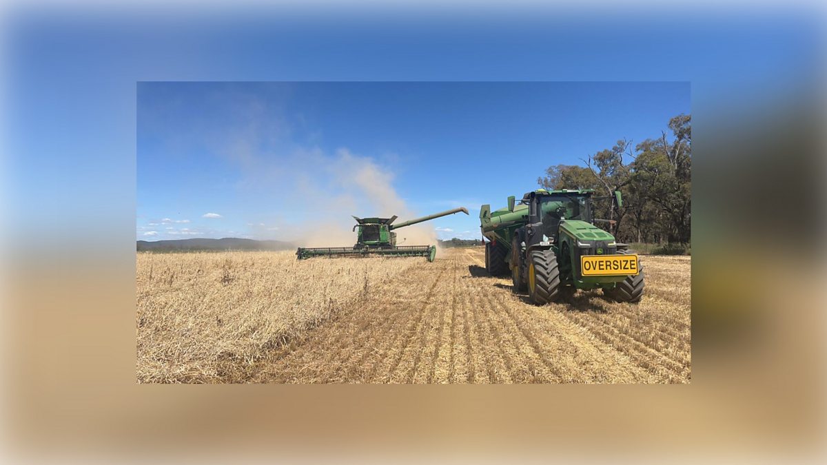 BBC Radio Cymru - Troi'r Tir, Dau Gymro ar fferm laeth fwyaf Awstralia