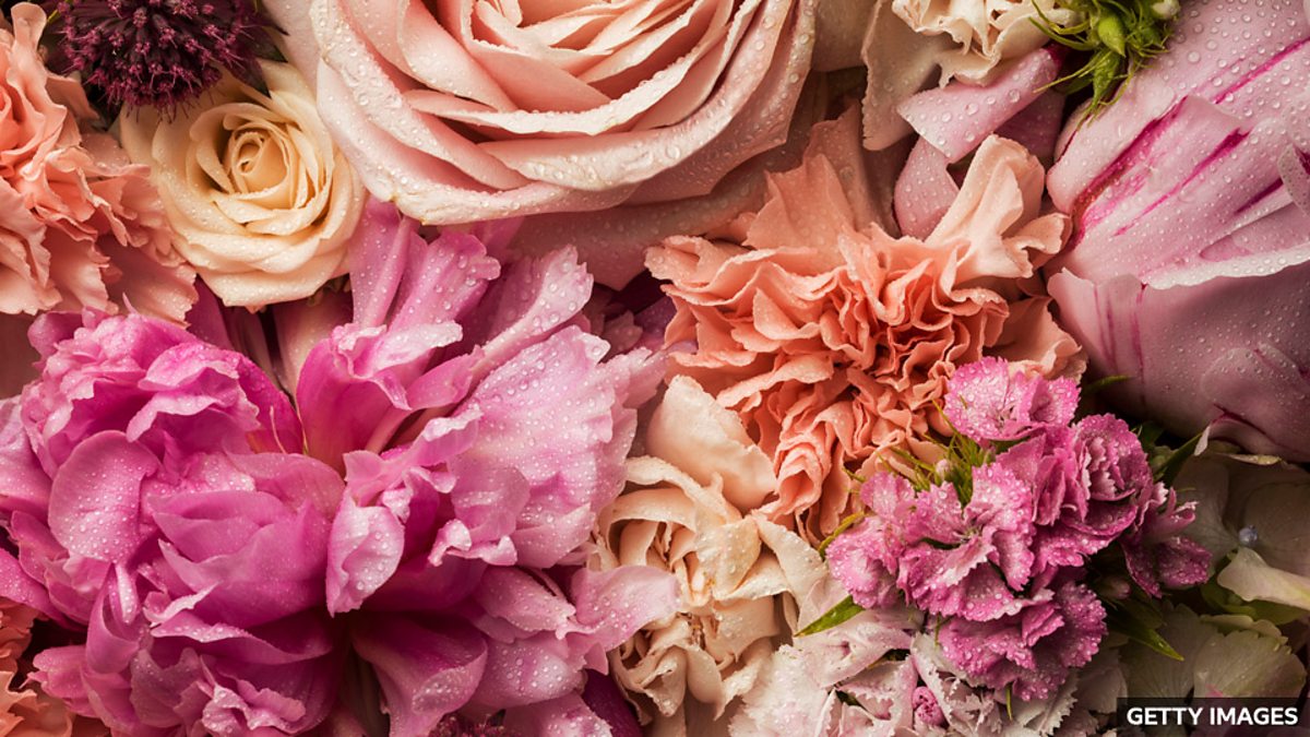 BBC - BBC Learning English, BBC English In A Minute “一分钟英语”: 实用单词 ...