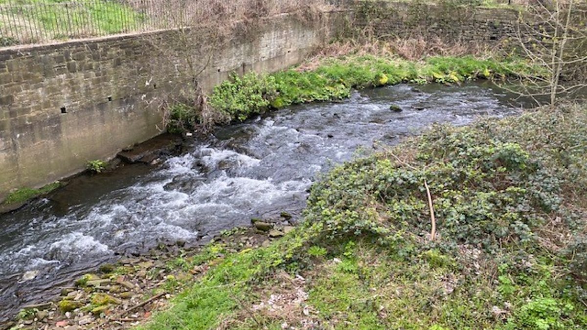 BBC Radio Leeds - Rima Ahmed, Get into Nature: Bradford Beck