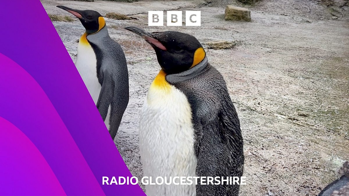 BBC Radio Gloucestershire - BBC Radio Gloucestershire, Cotswolds ...