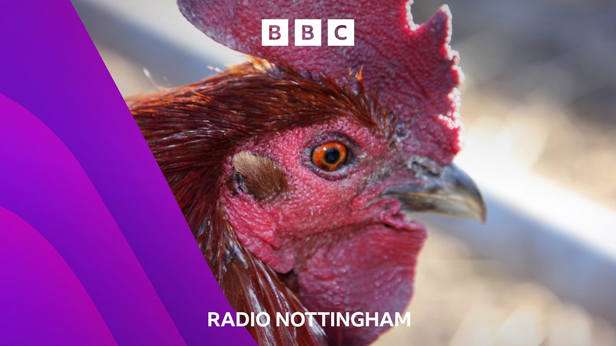 BBC Radio Nottingham - BBC Radio Nottingham, Time for poultry across ...