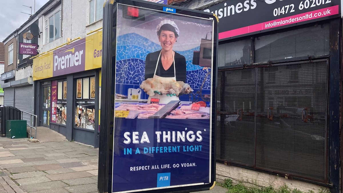 BBC Radio Humberside - David Burns, 24/04/2023, Advert comparing fish ...