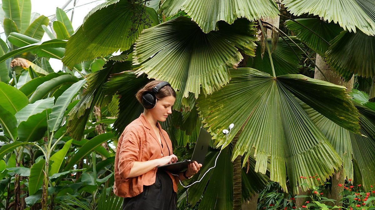 BBC Radio Cornwall - David White, 21/04/2023, Musician Alice Boyd ...