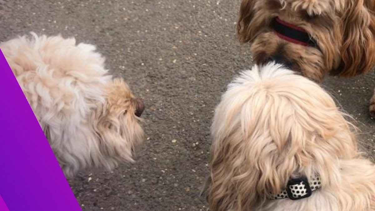 BBC Radio Humberside - BBC Radio Humberside, Grimsby student to study ...