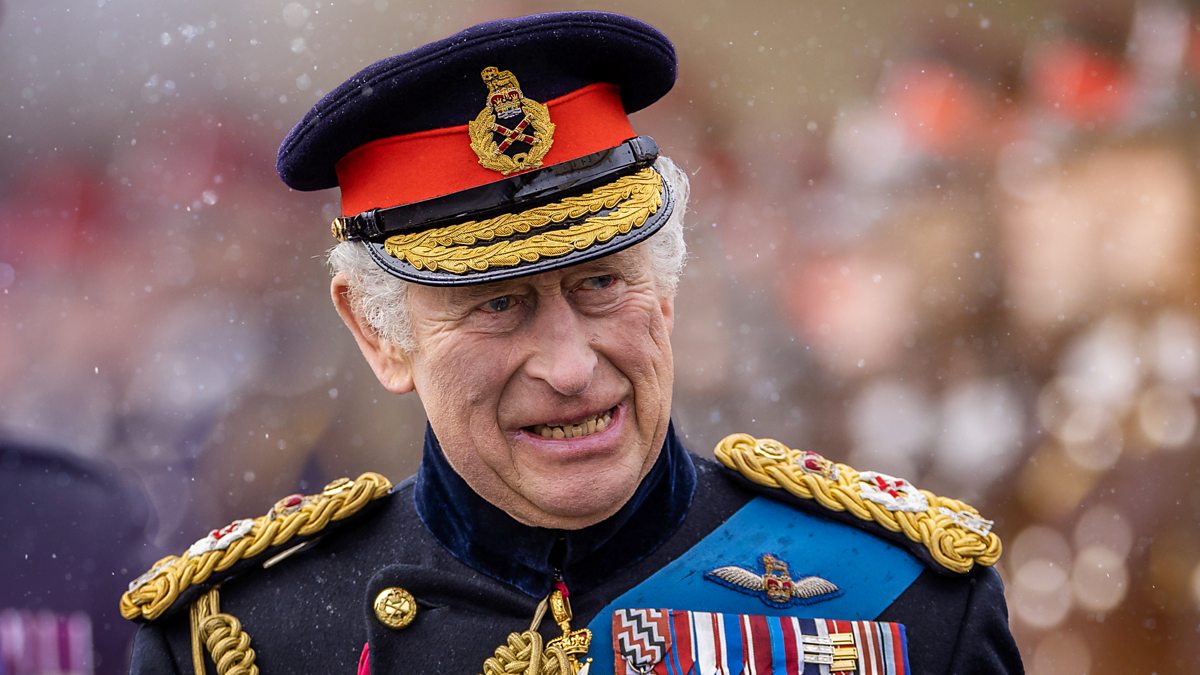 CBBC - Newsround Specials, The King