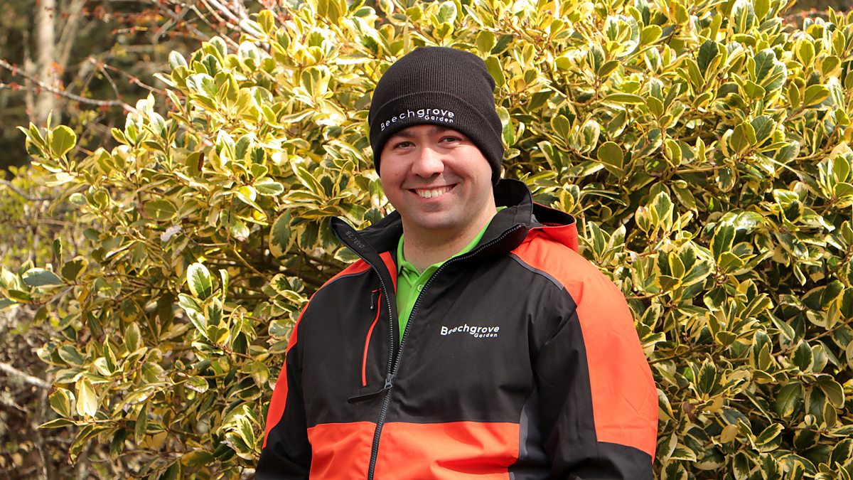 Beechgrove Garden - 2023: Episode 5 - BBC iPlayer
