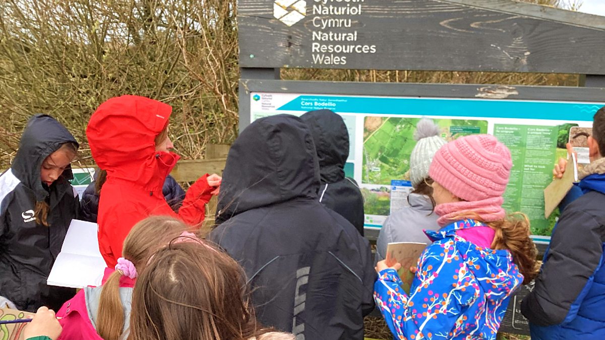 BBC Radio Cymru - Aled Hughes, Dathlu Hud a Lledrith Cymru, Strwythurau ...