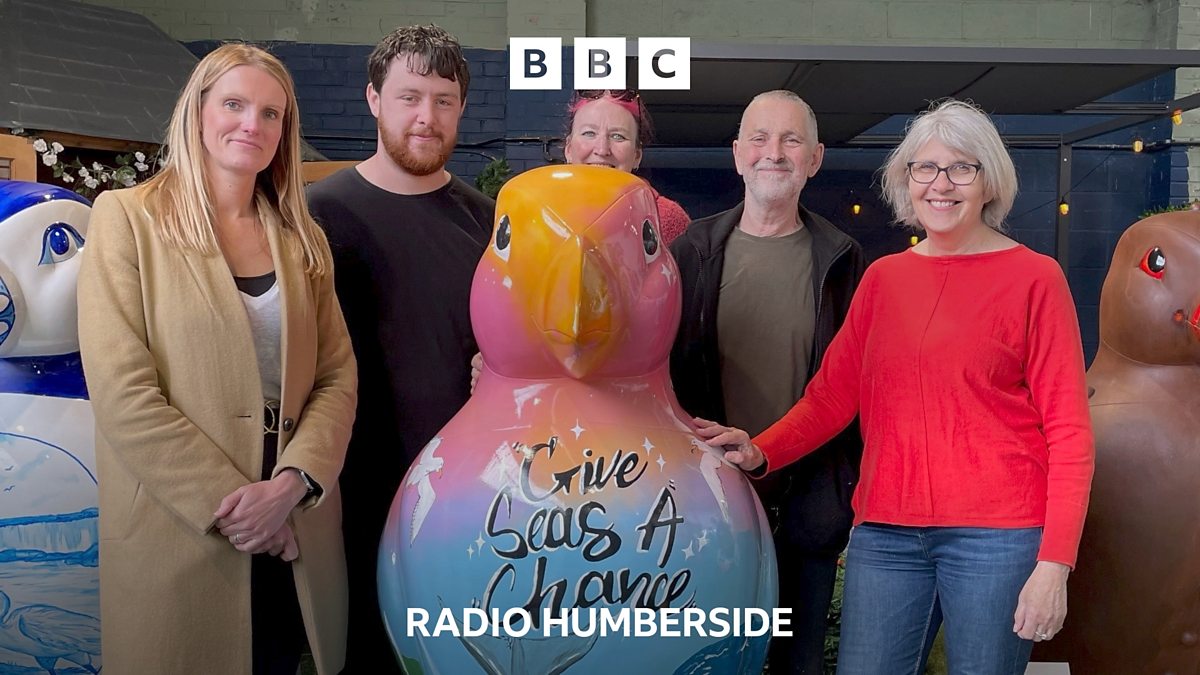 BBC Radio Humberside - BBC Radio Humberside, All 42 Puffins Galore ...