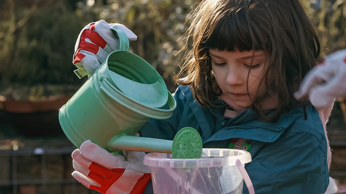 Ranger Hamzas Eco Quest - Minis: 5. Water Habitat - BBC iPlayer