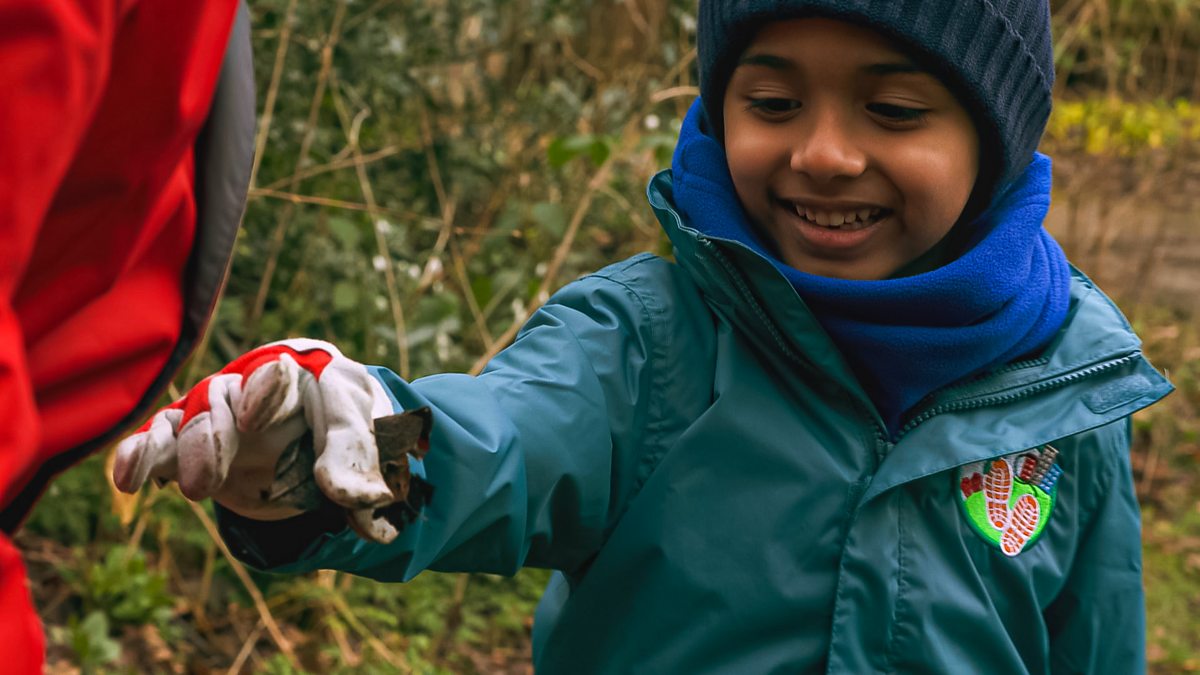 Ranger Hamzas Eco Quest - Minis: 9. Mulch - BBC iPlayer
