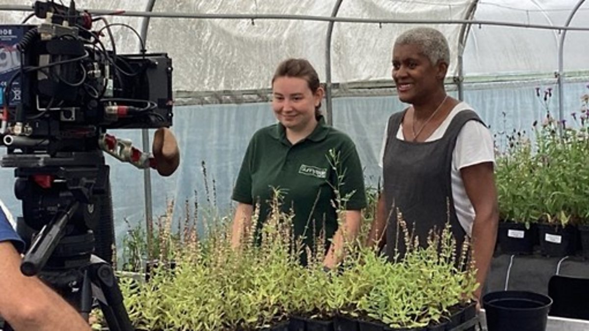 BBC Three Counties Radio - Babs Michel, Are you excited for Eurovision ...