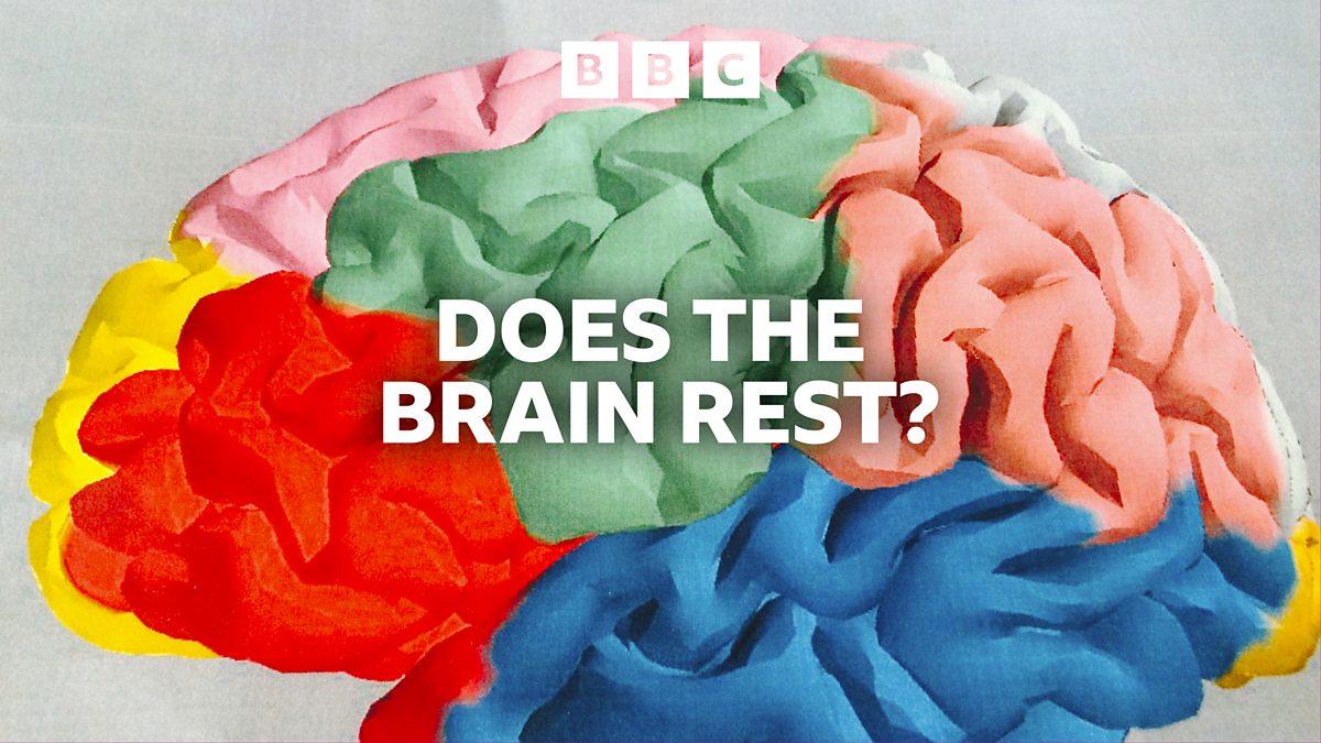 BBC Radio 4 - The Anatomy of Rest, Does the brain rest?