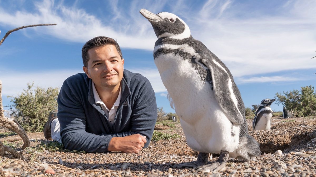 BBC World Service - Newshour, Meet the man who's helped millions of ...