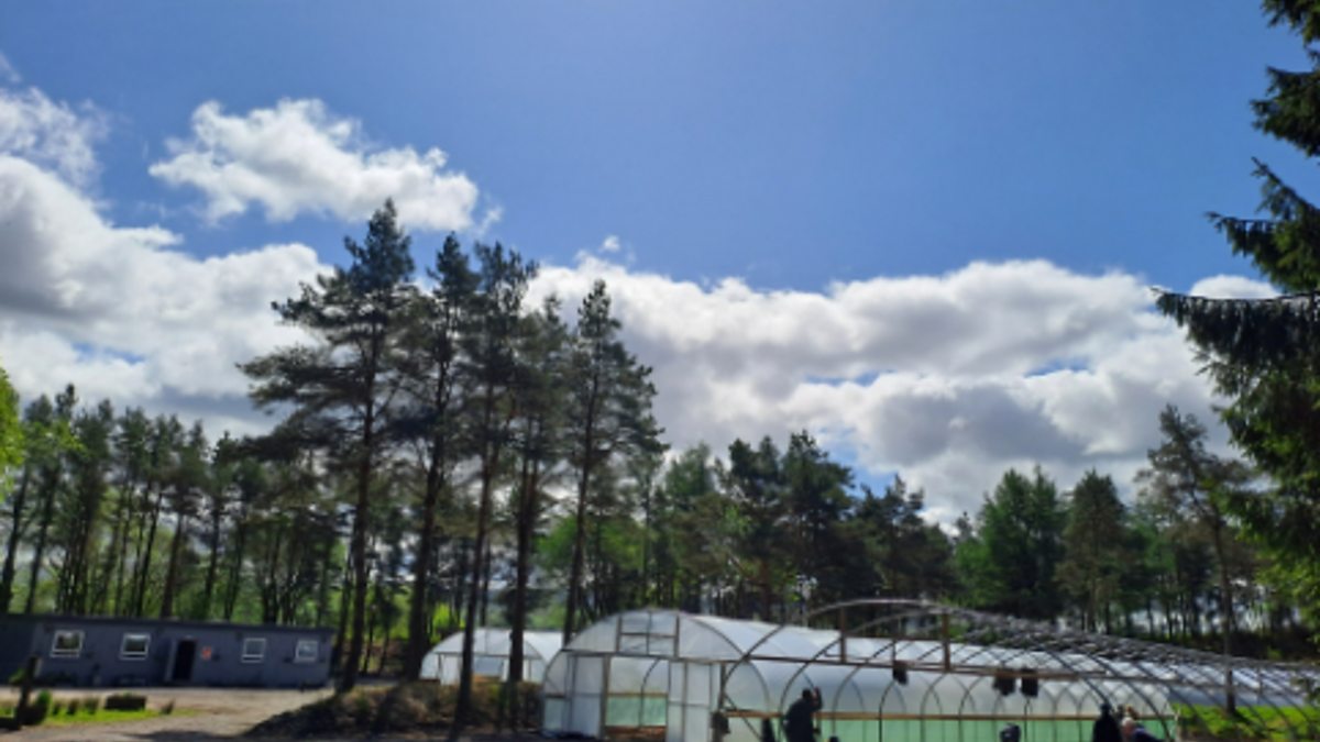 BBC Radio Cumbria - Pete Moss, Growing Well started near Kendal. It ...
