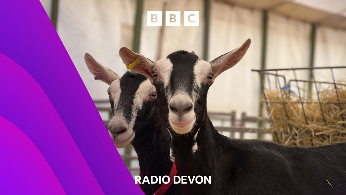 BBC Radio Devon - BBC Radio Devon, Animals galore at Devon County Show