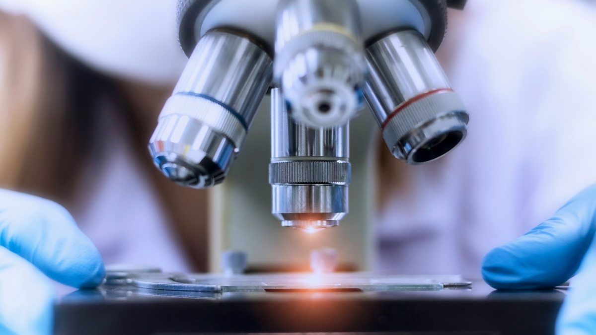 BBC World Service - More or Less, Detecting bad science with data