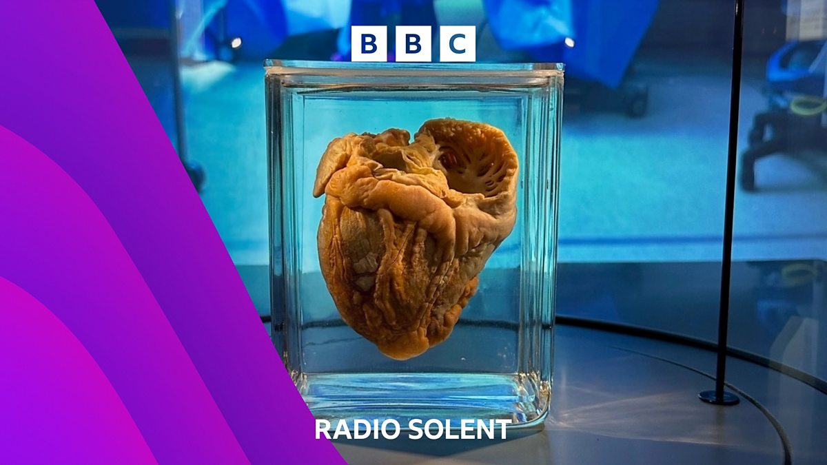 BBC Radio Solent - BBC Radio Solent, Dorest woman visits her own heart ...