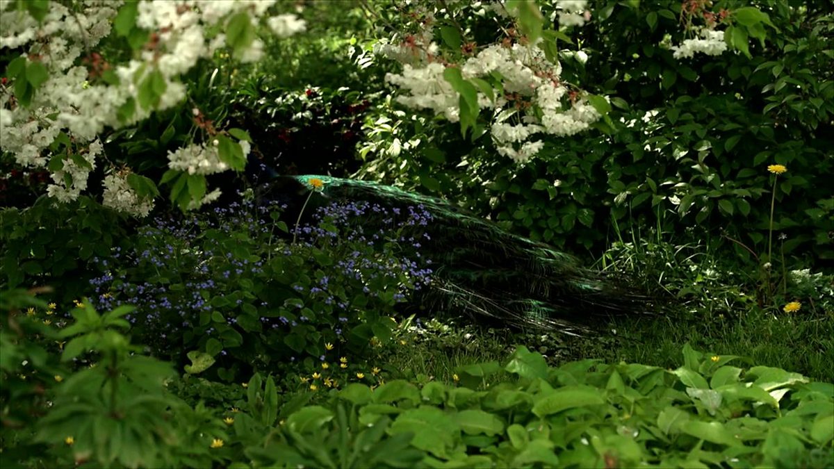 BBC Two - RHS Chelsea Flower Show, 2023, Exhibitor 2023: Claire Austin