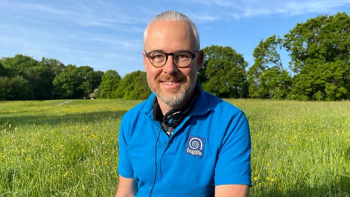 BBC Radio Devon - John Acres, 24/05/2023, Buglife's Andrew Whitehouse ...