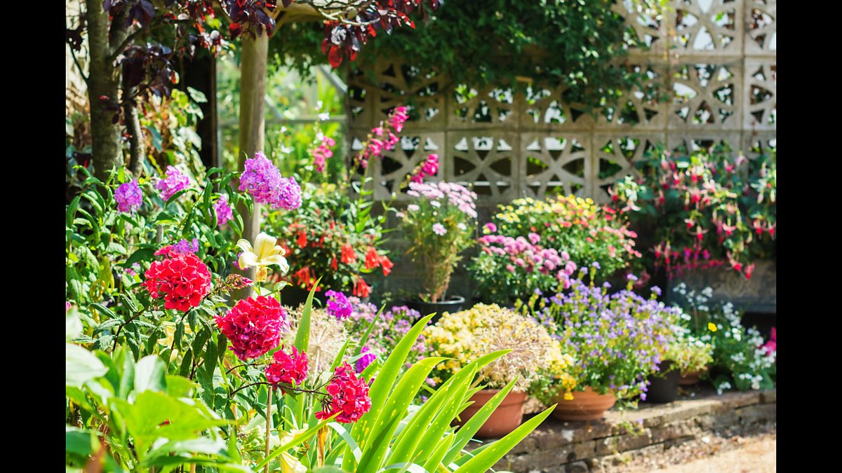 BBC Radio Ulster - Thought for the Day from Radio Ulster, Dr Ciara ...