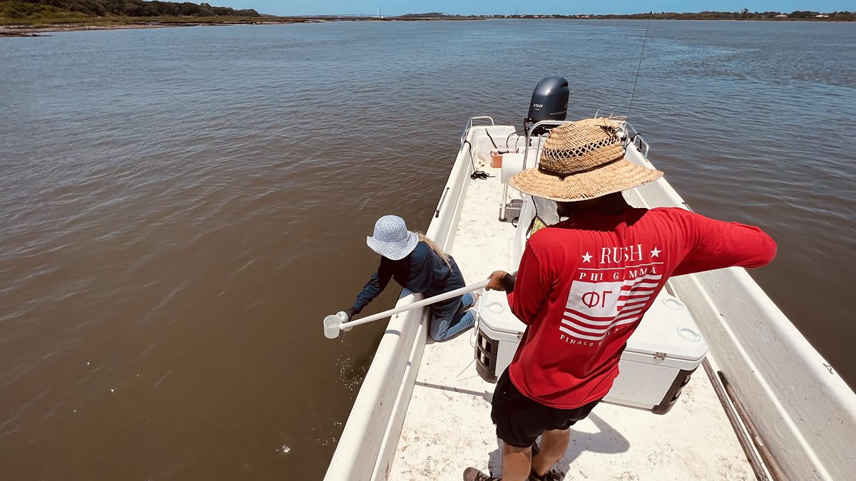 BBC Radio 4 - BBC Inside Science, Collecting Turtle DNA and eDNA ...