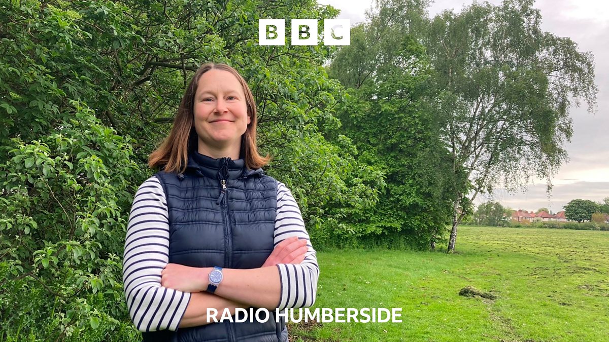 BBC Radio Humberside - BBC Radio Humberside, 2023: Hull named "tree ...