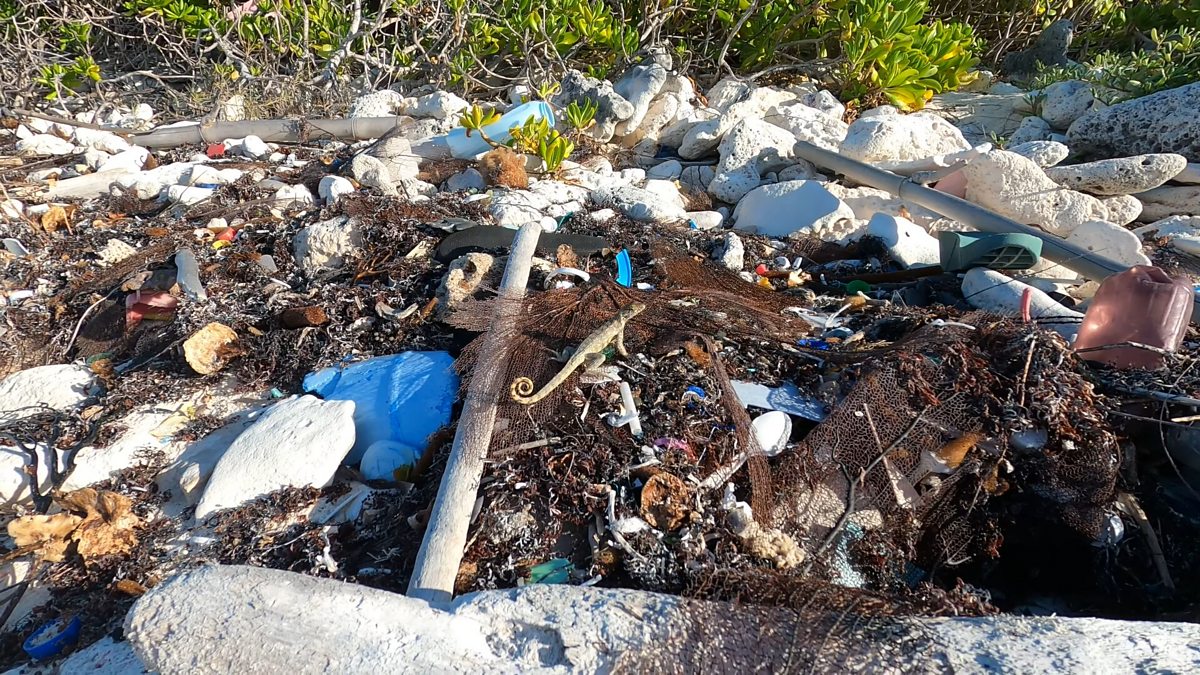 BBC Radio Cornwall - Mel Osborne on BBC Radio Cornwall, Spring bank holiday (29/05/2023), Cayman ...