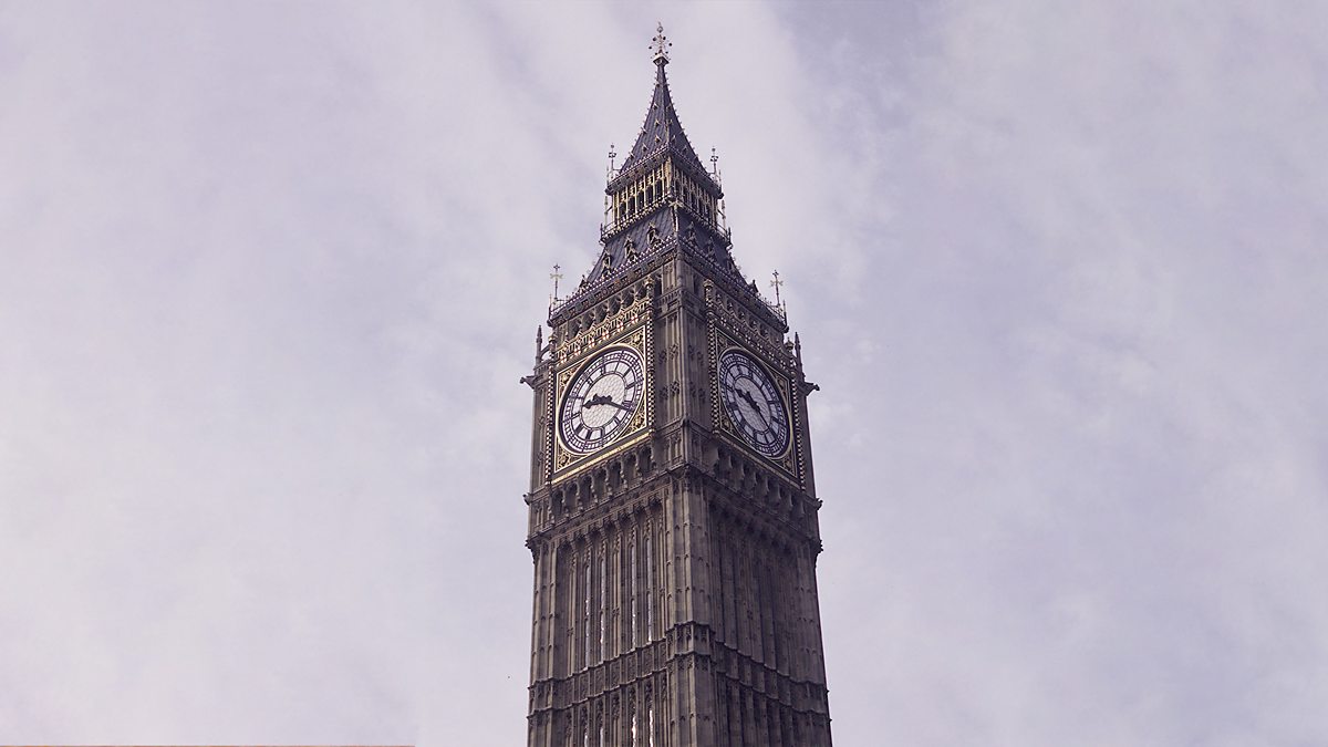 BBC Radio 4 - Turning Point, Wasps in a Jam Jar