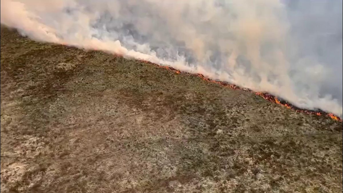 BBC News - Scotland, Nature reserve damaged by wildfire