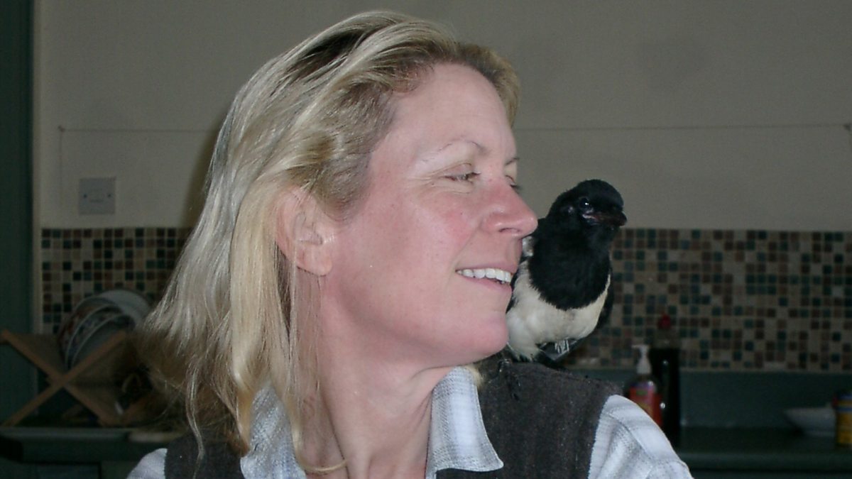 BBC World Service - Outlook, Frieda and George: A love story