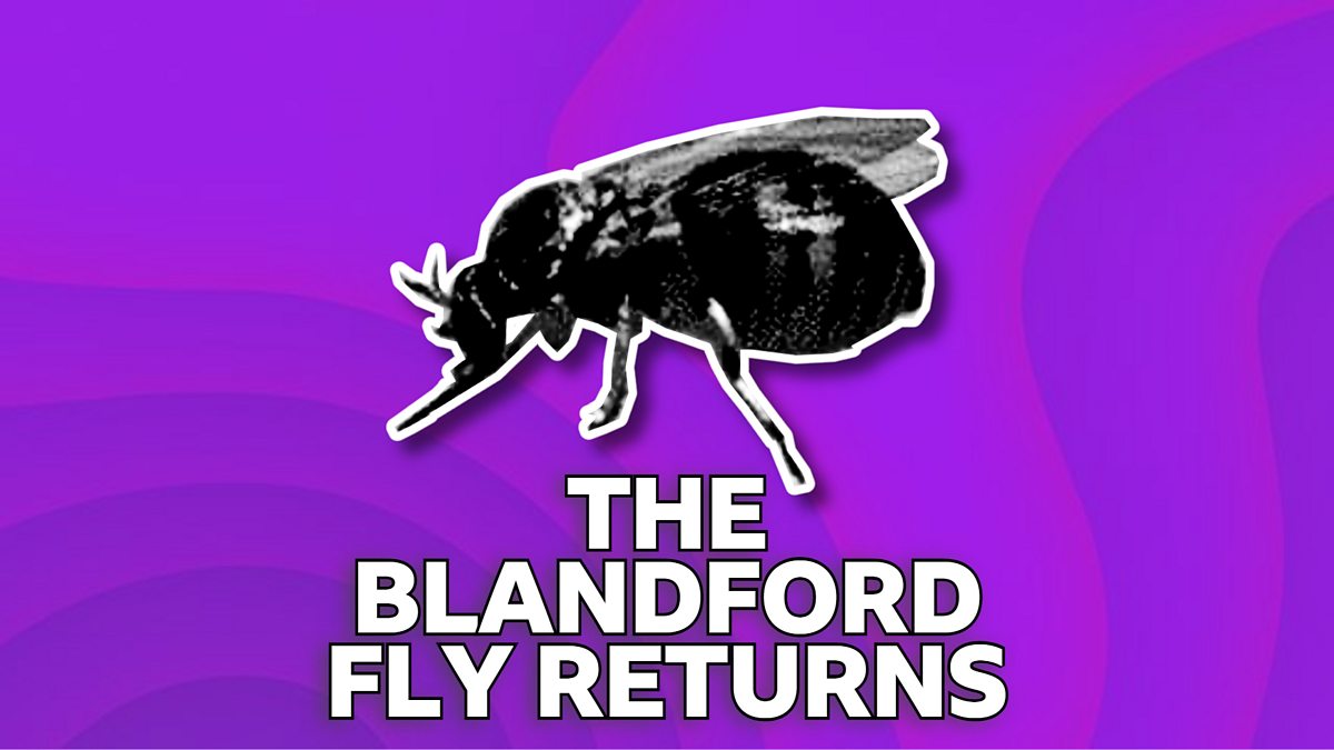 BBC Radio Oxford - Sophie Law, Lilley Mitchell sits in (05/06/2023 ...